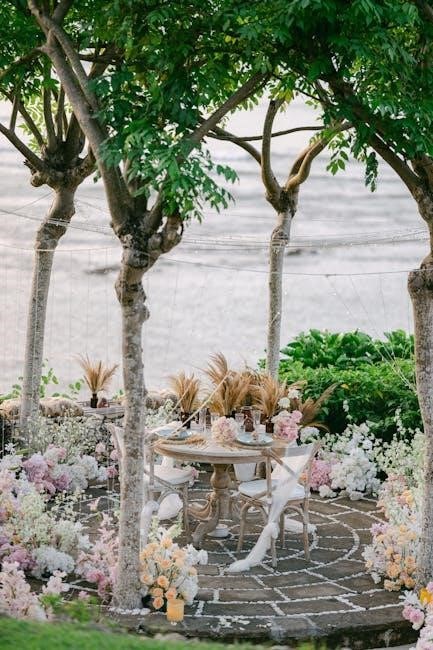 Superbox S5 Max Setup Instructions